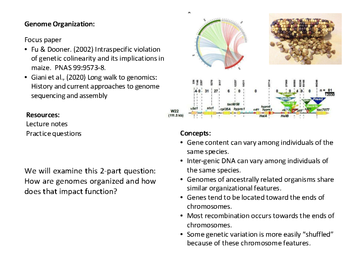 Genome Organization and Chromosome Rearrangement: Lecture Notes (G C ...