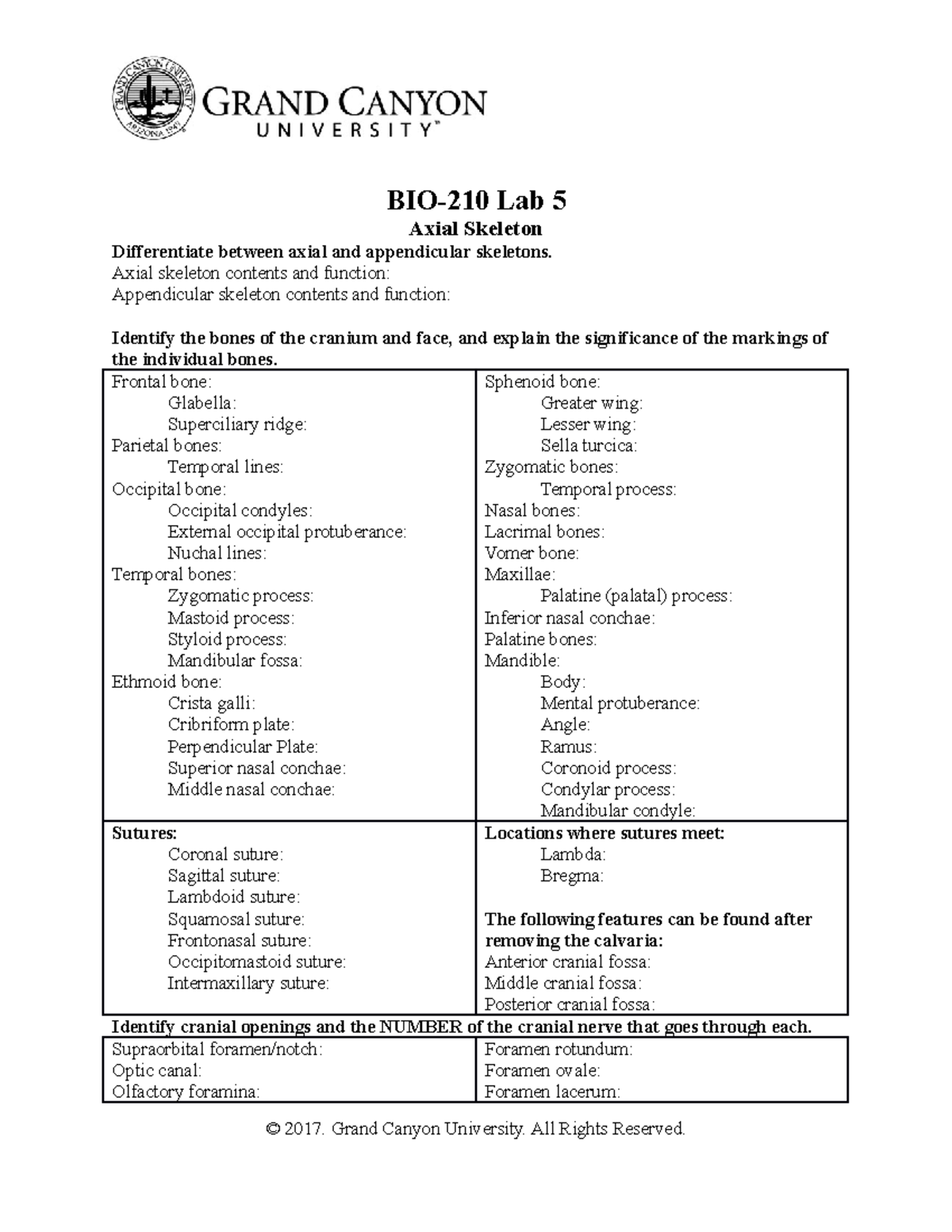 BIO-210L Study Guide Lab5 - BIO-210 Lab 5 Axial Skeleton Differentiate ...