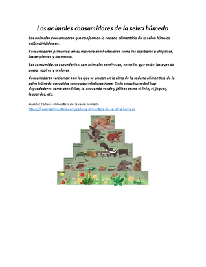 GÍA DE Estudio Modulo 9 - GÍA DE ESTUDIO MODULO 9: UNIVERSO NATURAL. ¿A ...