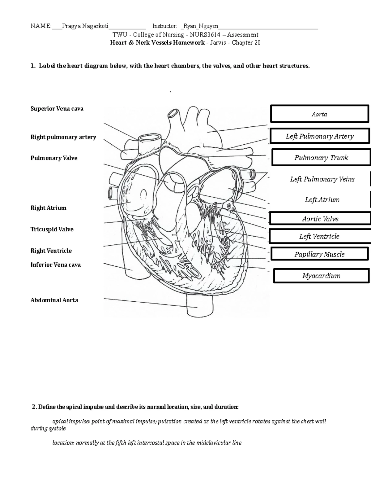 Ch 19 Questions Heart and Neck - Chapter 19: Heart and Neck Vessels ...
