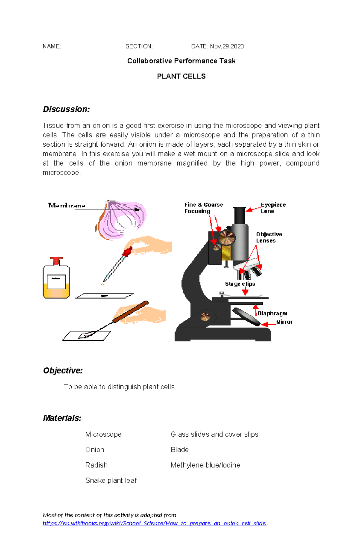 Performance Task - Plant and Animal Cell Lab (Bio 101) - Studocu