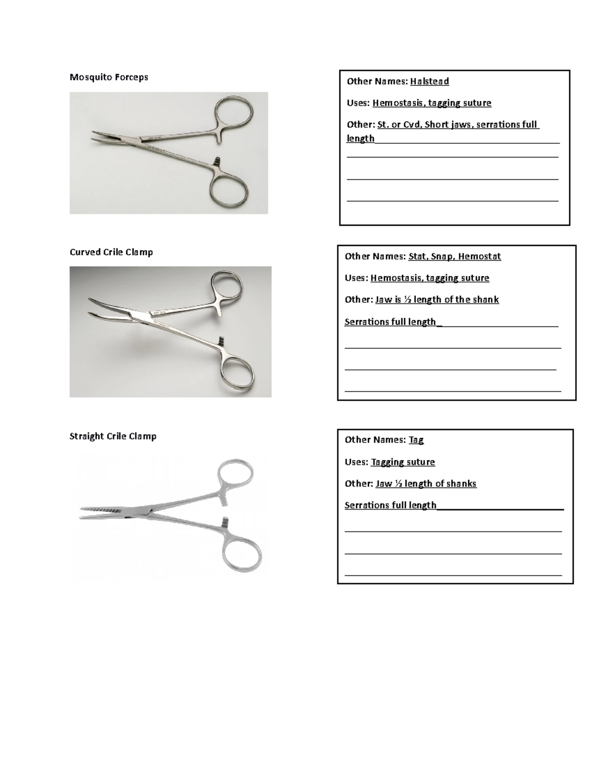 AST CST Practice Exam - AST Practice Exam You can participate in the ...