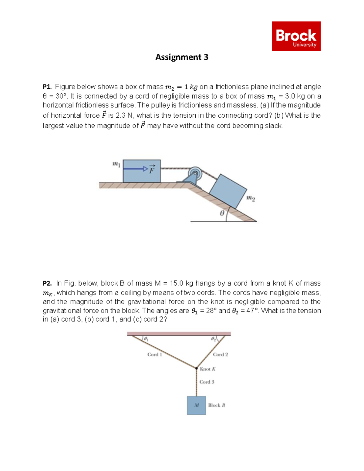 Physics Assignment 3: Force & Tension Problems (Course Code: PHYS101 ...