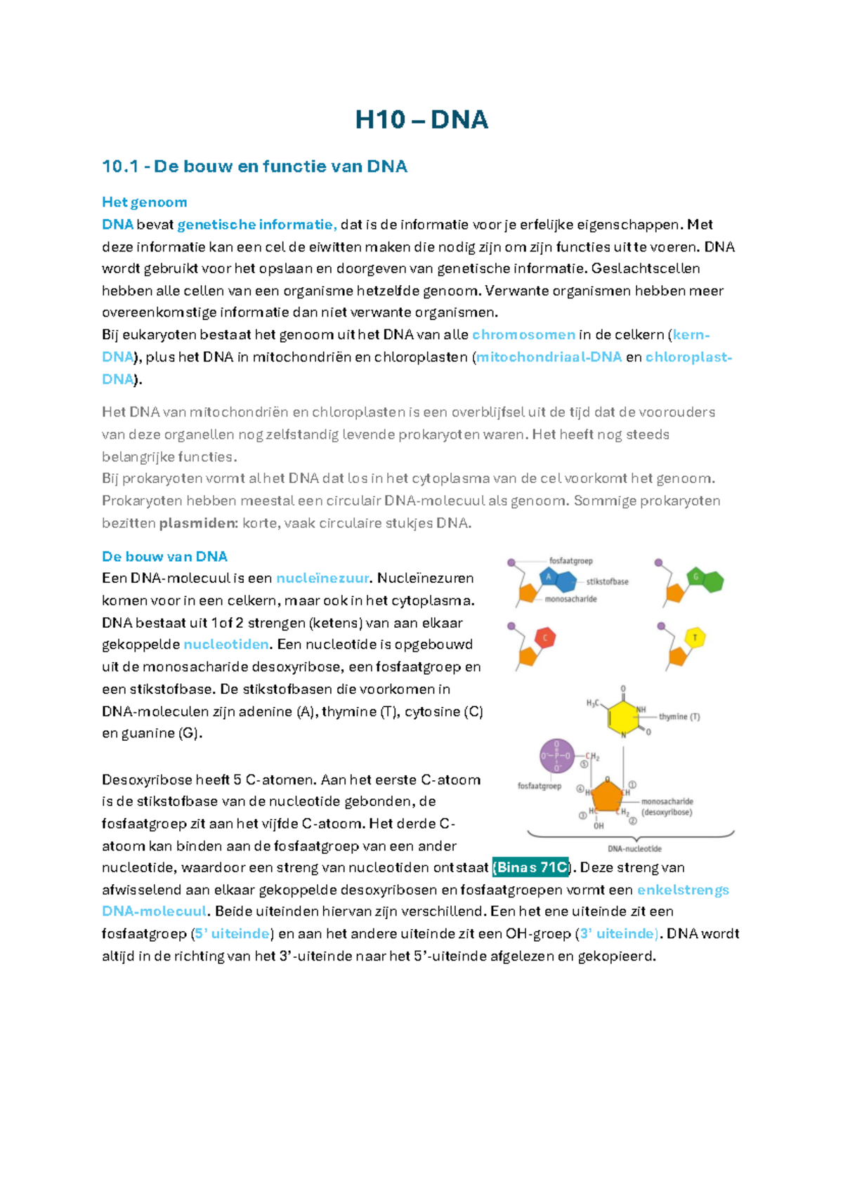 Biologie H10: DNA Structuur, Functie en Genregulatie - Studeersnel
