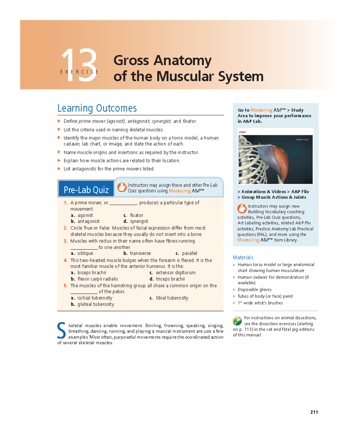 Exercise-13: Gross Anatomy of the Muscular System Overview - Studocu