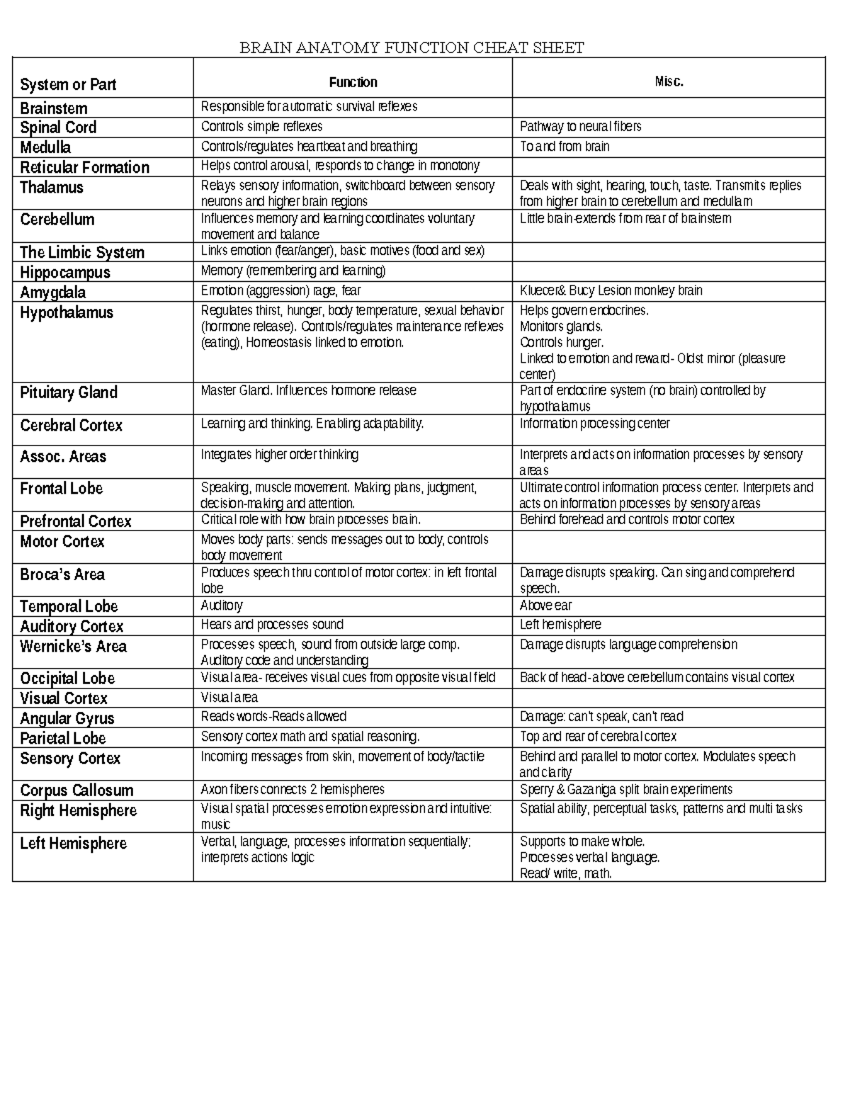 BRAIN ANATOMY FUNCTION CHEAT SHEET (136667577) - Studocu