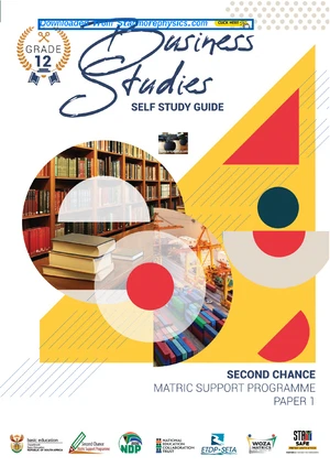 Business Strategies Grade 12: Comprehensive Study Notes - Studocu