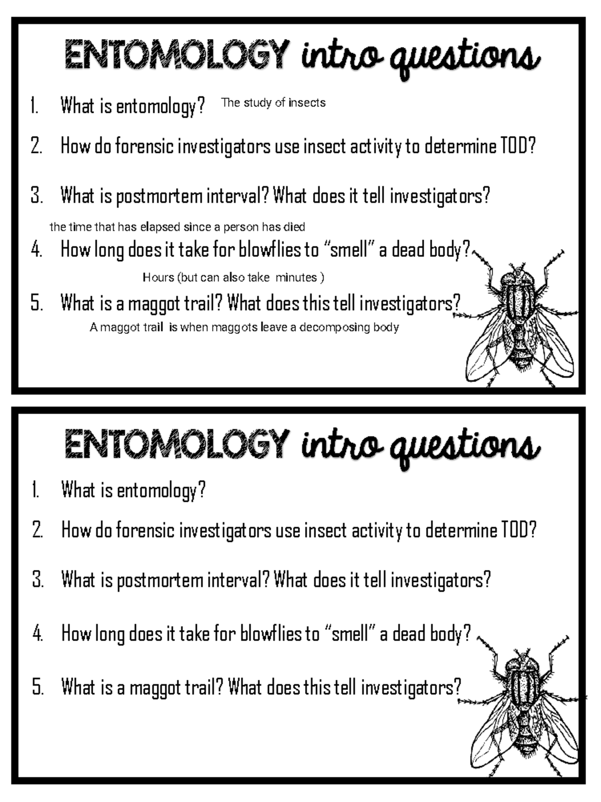 ENT 101: Intro to Entomology - Key Questions and Concepts - Studocu