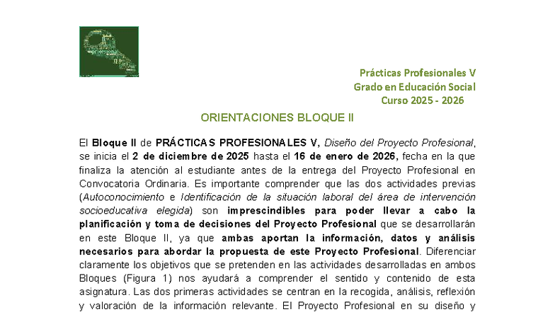 Orientaciones para el Proyecto Profesional V (PPV) - Bloque II 2025 ...