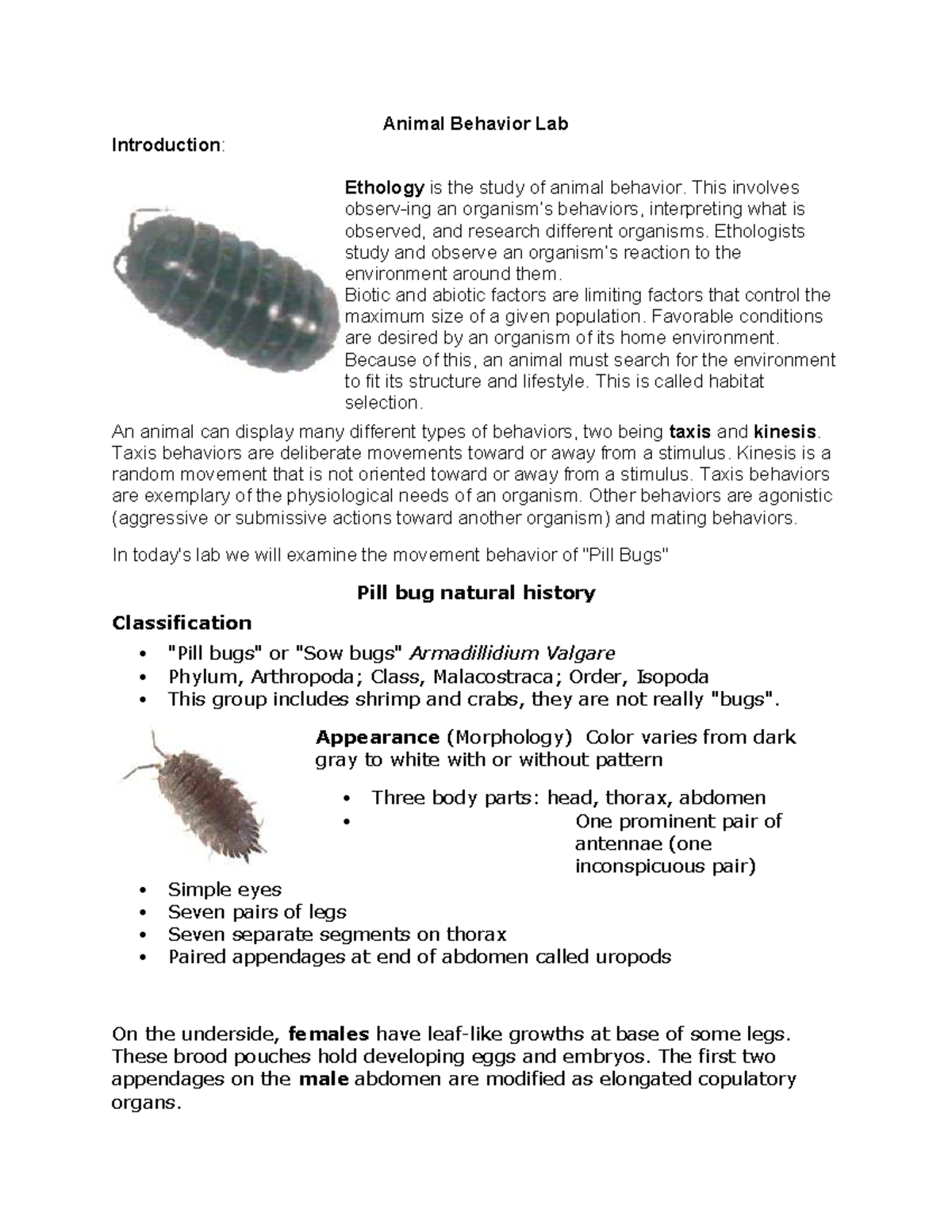 Pill Bug Behavior Lab: Exploring Ethology and Habitat Selection - Studocu