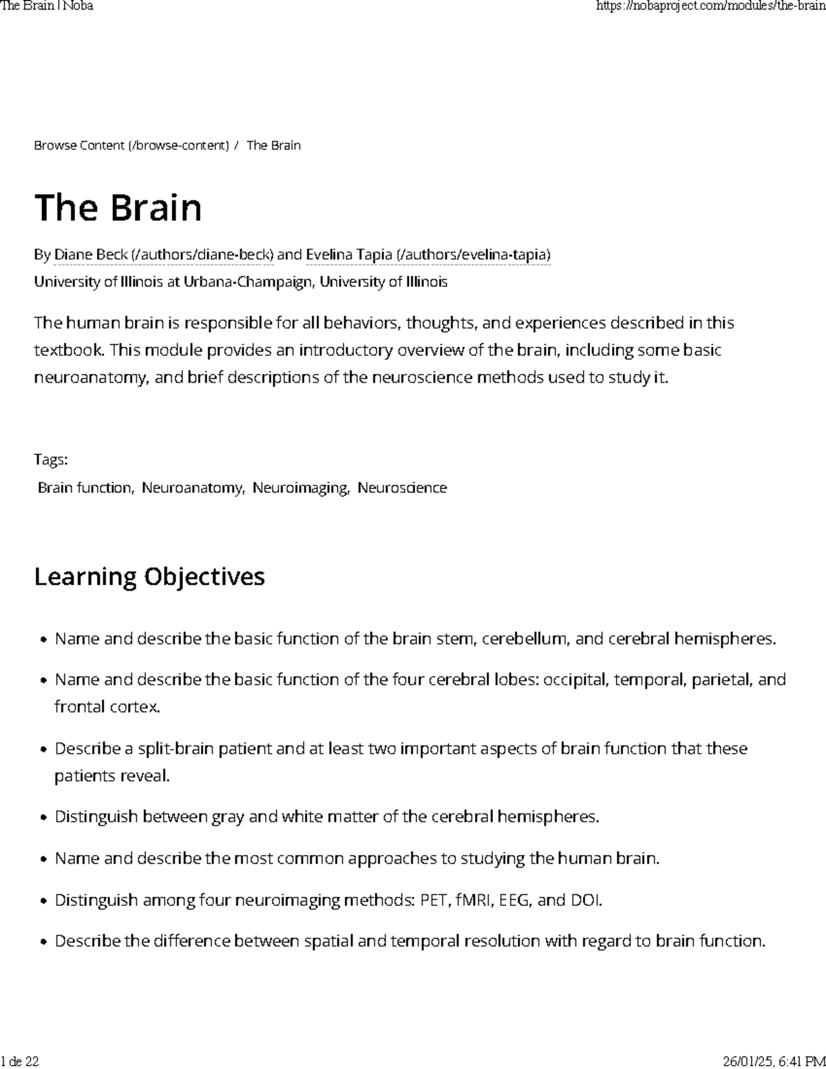 The Brain: An Introductory Overview of Neuroanatomy and Function (PSY ...