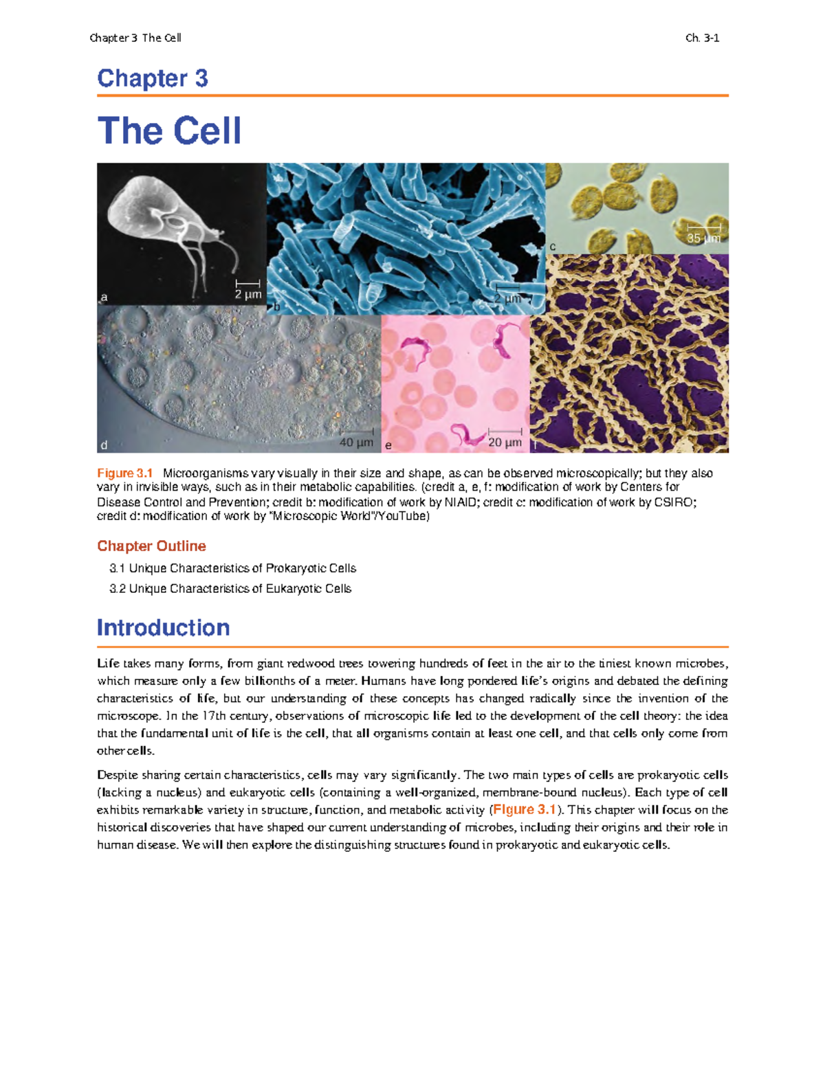 Chapter 3: The Cell - Unique Characteristics of Prokaryotic ...