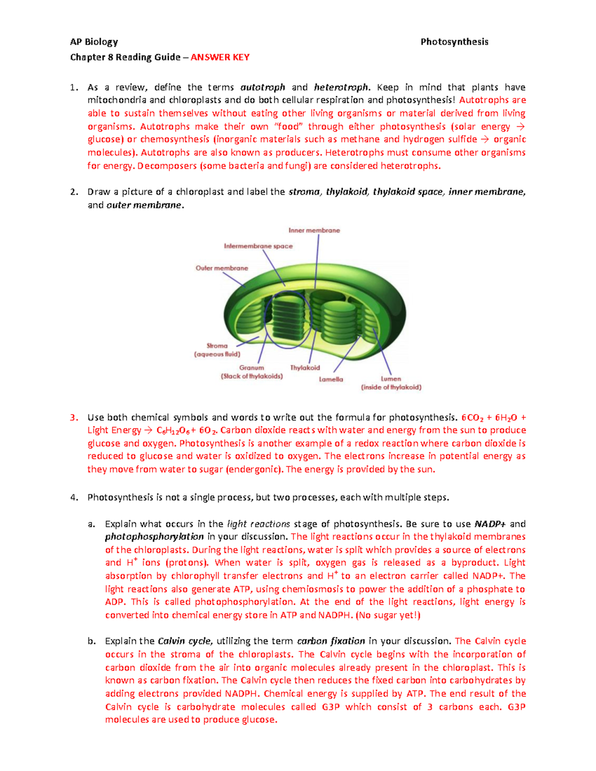 AP Biology Chapter 8 Photosynthesis: Key Q&A Answer Key 2018 - Studocu