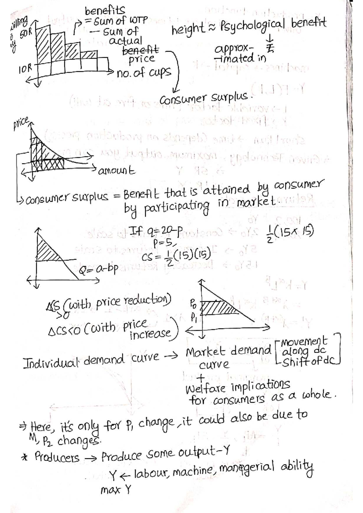 Economic Analysis of Consumer Surplus and Production Functions (ECO 101 ...