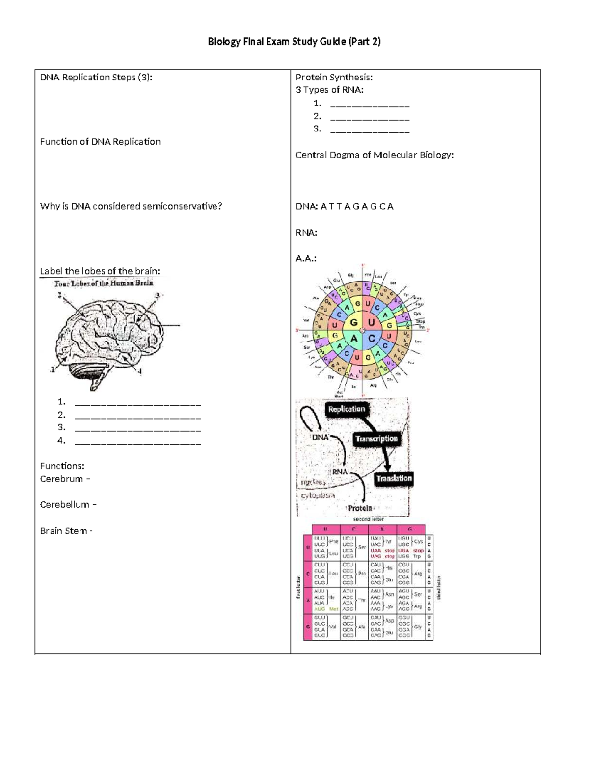 Study Guide Part 2 - Have fun! - Biology Final Exam Study Guide (Part 2 ...