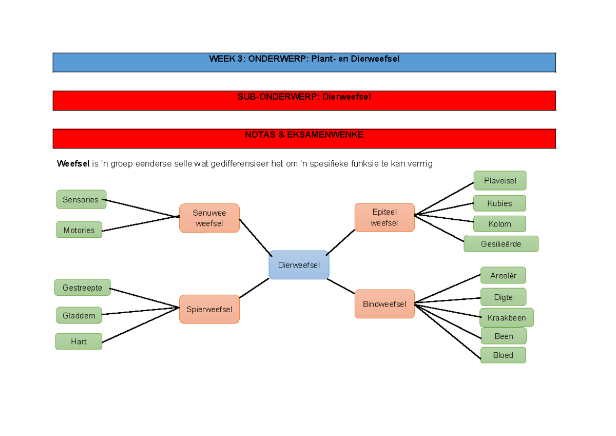 Dierweefsels Notas & Eksamenwenke - Biologie Week 3 - Studocu