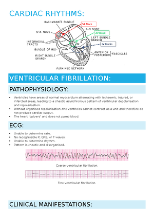 Clinical Core Tutorial - PR Bleeding - Surgery – CTT 3 - PR Bleeding ...
