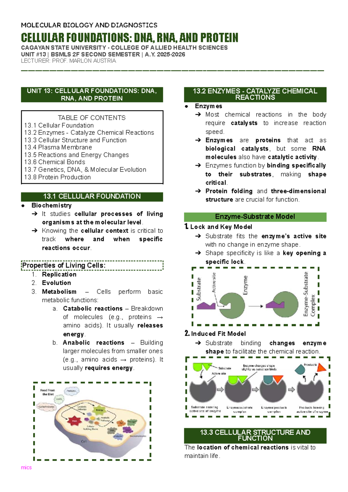 Molecular Biology & Diagnostics (BSMLS 2F) - Cellular Foundations Notes ...