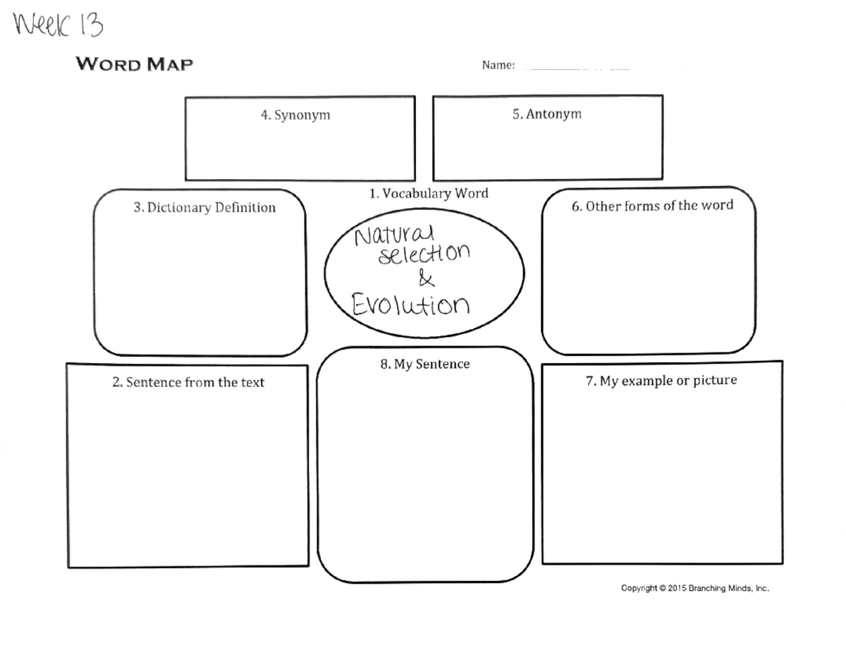 2024-12-06 09-34 1 - easy - week 13 WORD MAP Name: 4. Synonym 5 ...