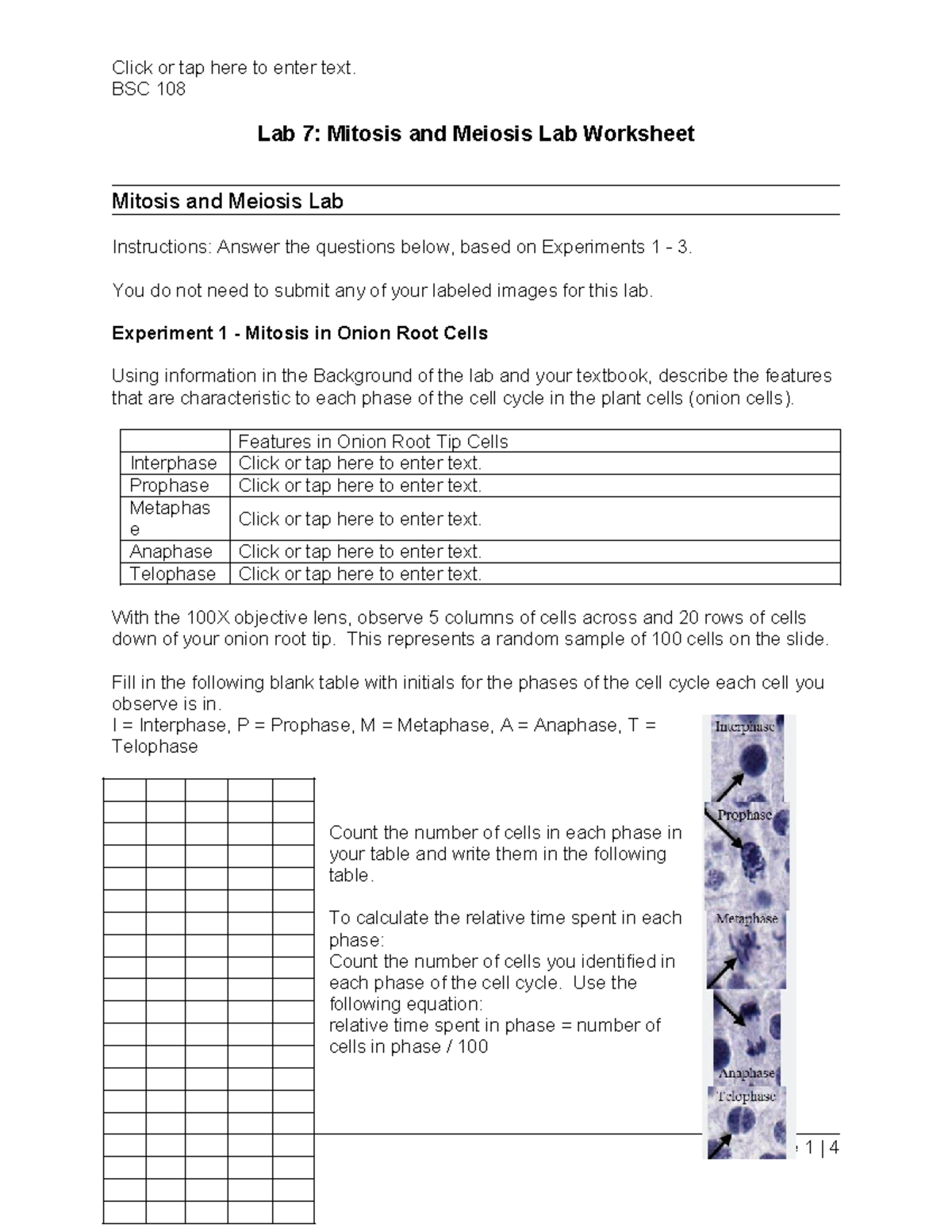 Lab 7 Mitosis Meiosis Lab Worksheet - BSC 108 Lab 7: Mitosis and ...