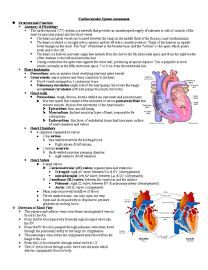 Different Patient Positioning - Different Positionings Supine Position ...