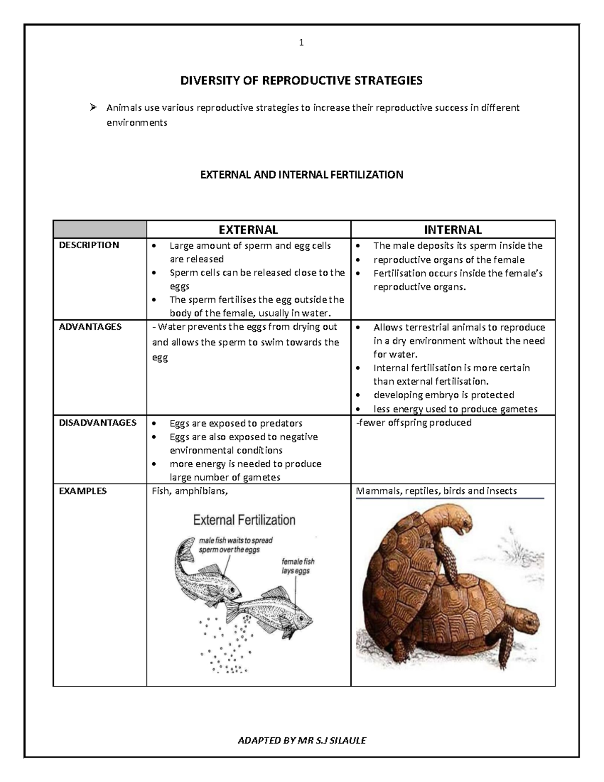 Reproduction Strategies: Notes for Biology 2019 (Final Exam) - Studocu