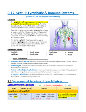 Digestive System Overview: Anatomy, Functions, and Pathologies (6001 ...