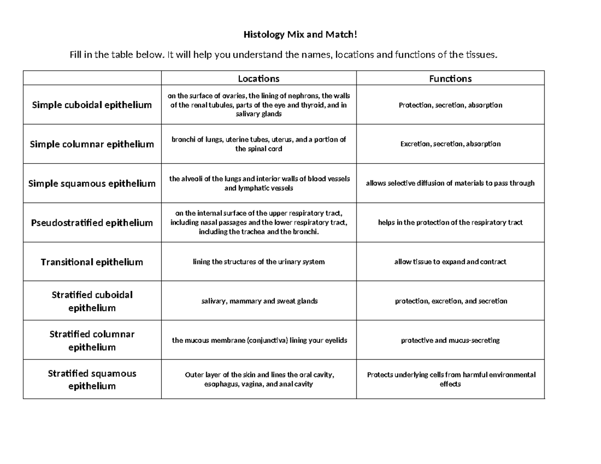 Histology Review - Classwork and Tissue Function Overview - Studocu