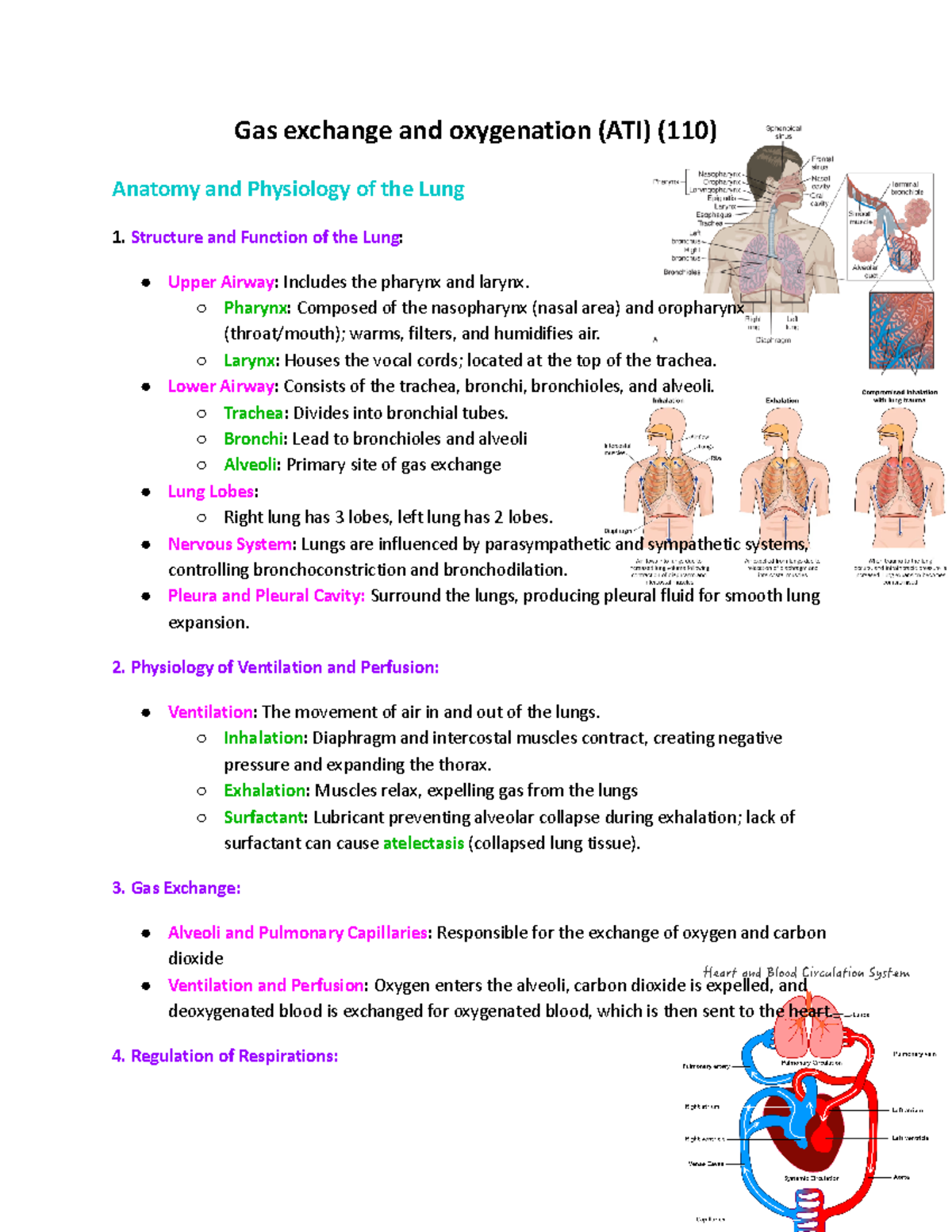 Gas Exchange and Oxygenation Study Notes (ATI) (110) - Studocu