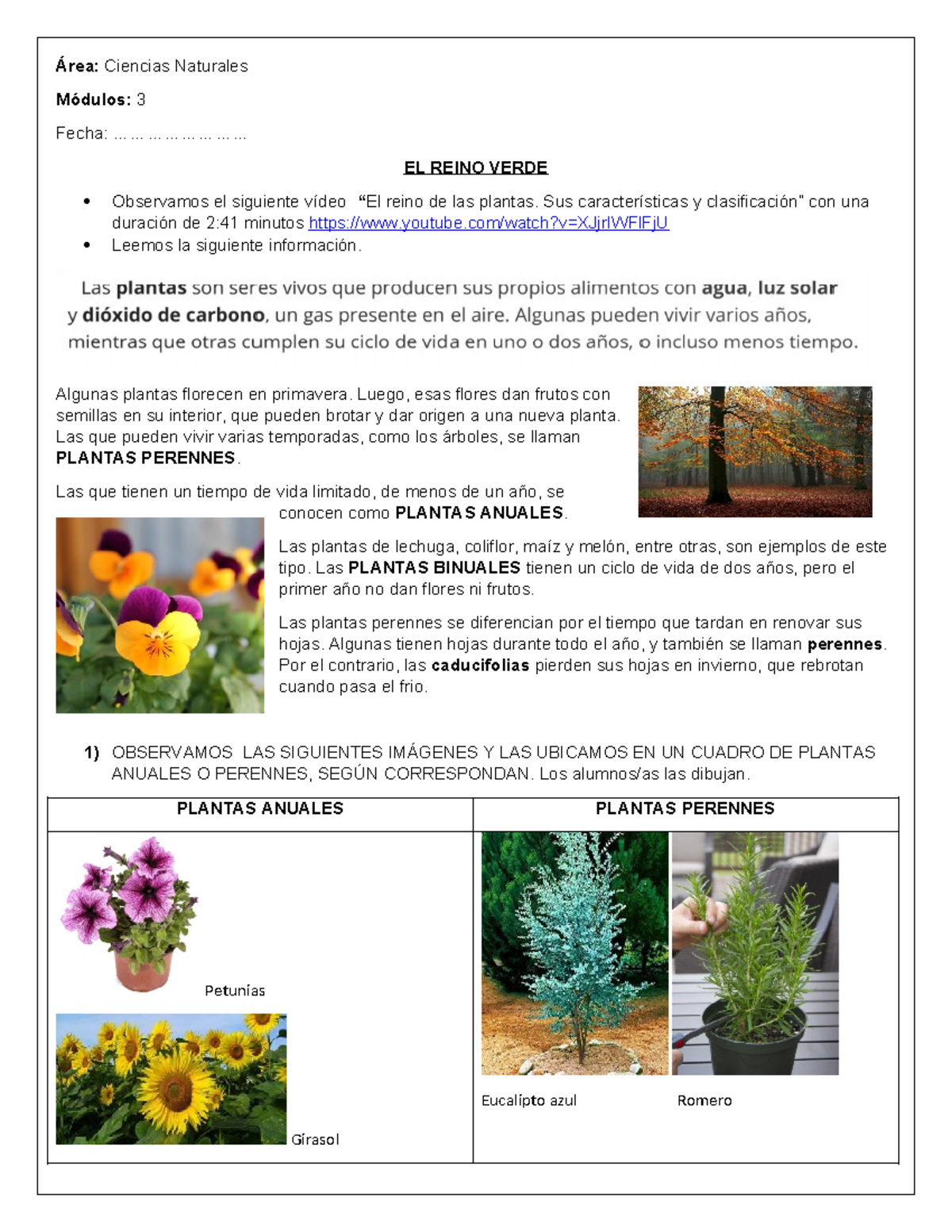 Tabla De Plantas Anuales Y Perennes