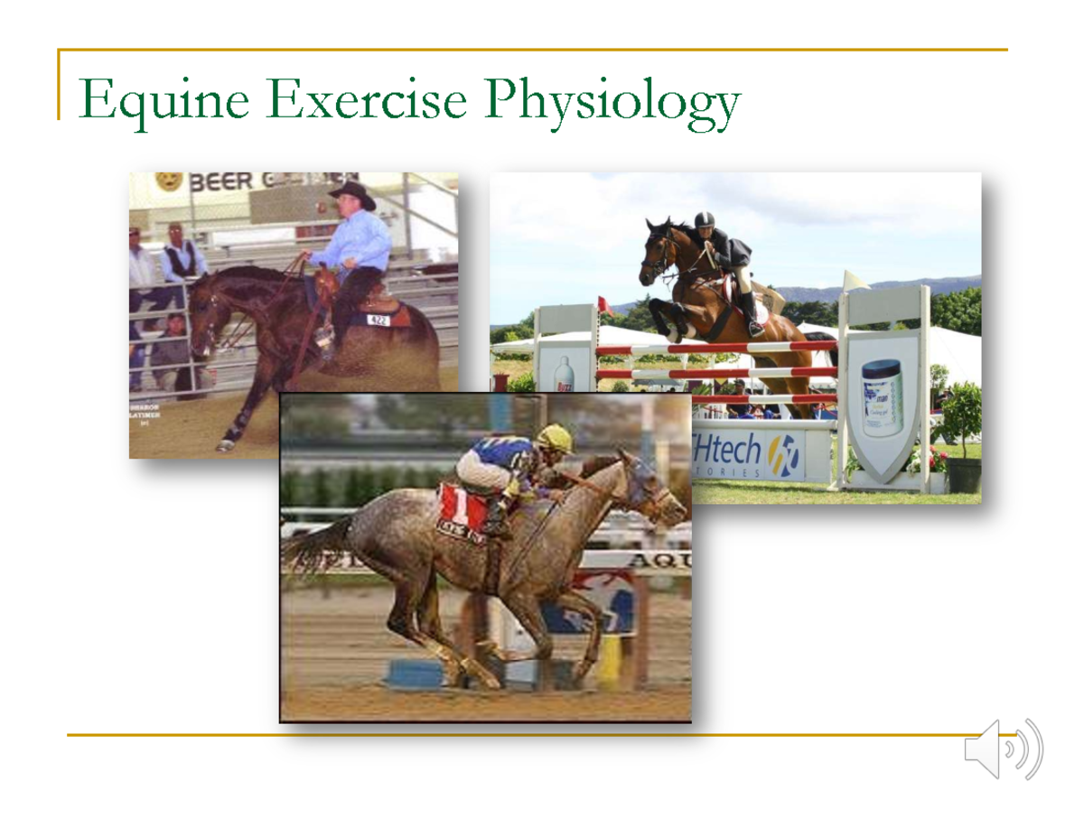 Equine Exercise Physiology: VO2 Max & Performance Insights - Studocu