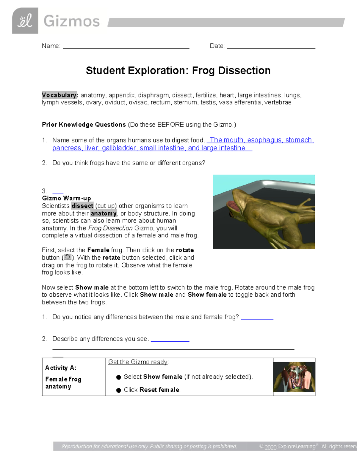 Frog Dissection SE: Amia's Comprehensive Exploration Notes - Studocu