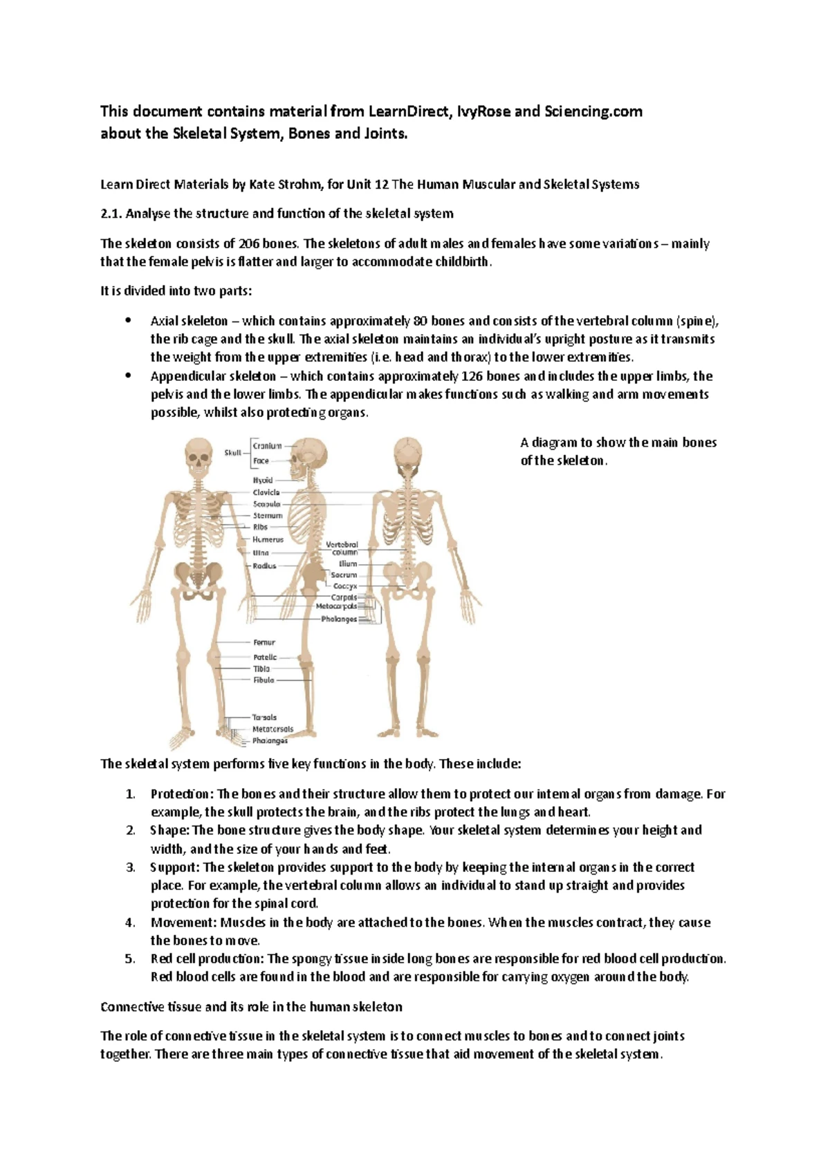 Heart - notes - ANATOMY OF THE HEART: CHAPTER 16 FUNCTION, LOCATION ...