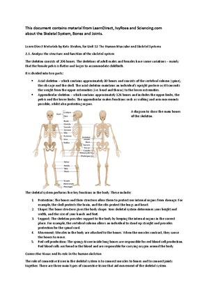 CH5 Muscular System Notes - Terms of Muscle Attachment Origin: the ...
