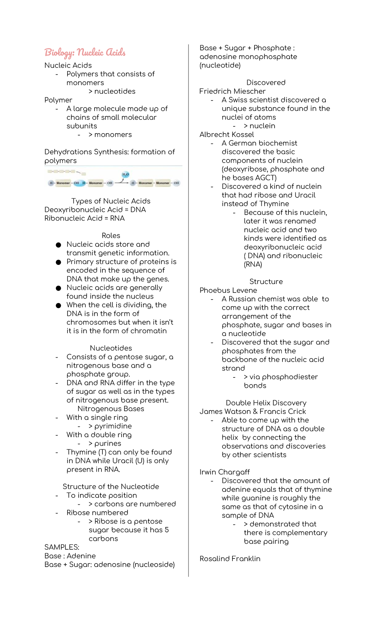 Biology 101: Midterm 1 Review on Nucleic Acids and Genetics - Studocu