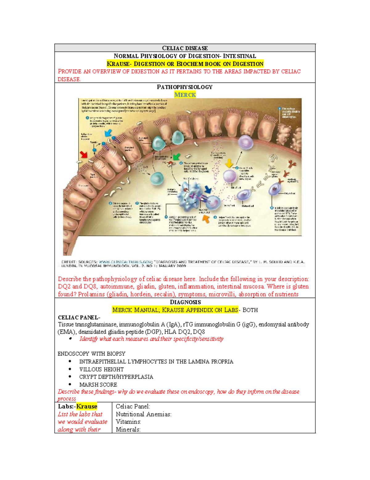 Celiac Disease Overview: Pathophysiology, Diagnosis & Nutrition (NUTR ...