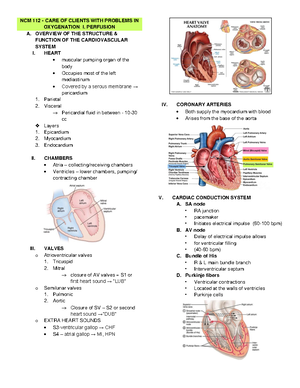 DOH Programs - NCM 2140 MATERNAL HEALTH CARE OR SAFE MOTHERHOOD PROGRAM ...