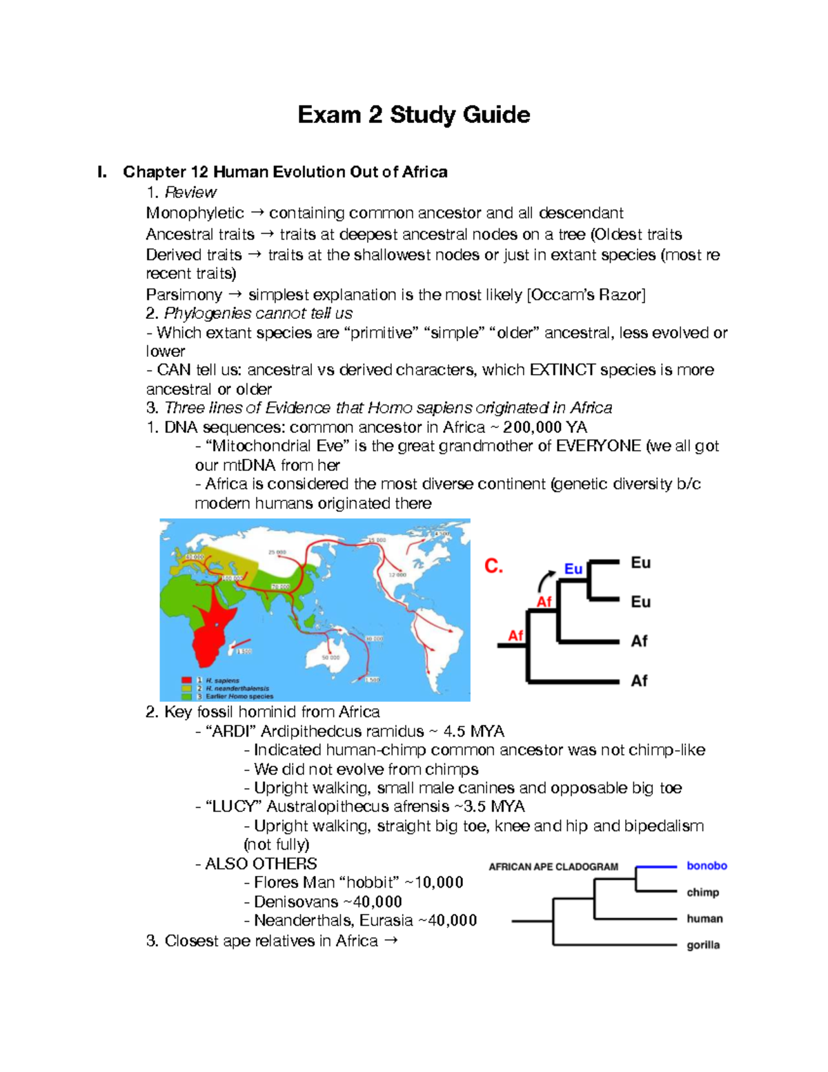 Exam 2 Study Guide: Bio 142 - Human Evolution & Mammals - Studocu