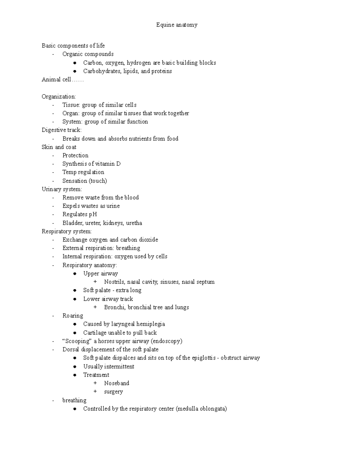 Equine Anatomy (ANAT 101): Overview of Body Systems & Muscle Types ...