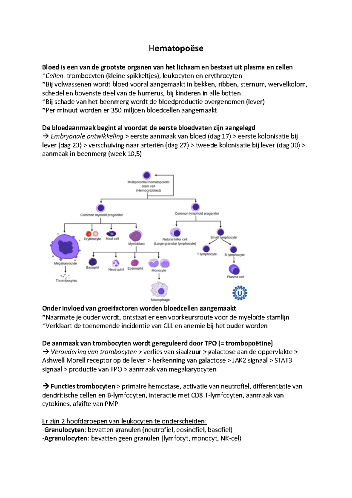 Samenvatting Bloed en Immuunsysteem - Geneeskunde 101: Sleutelelementen ...