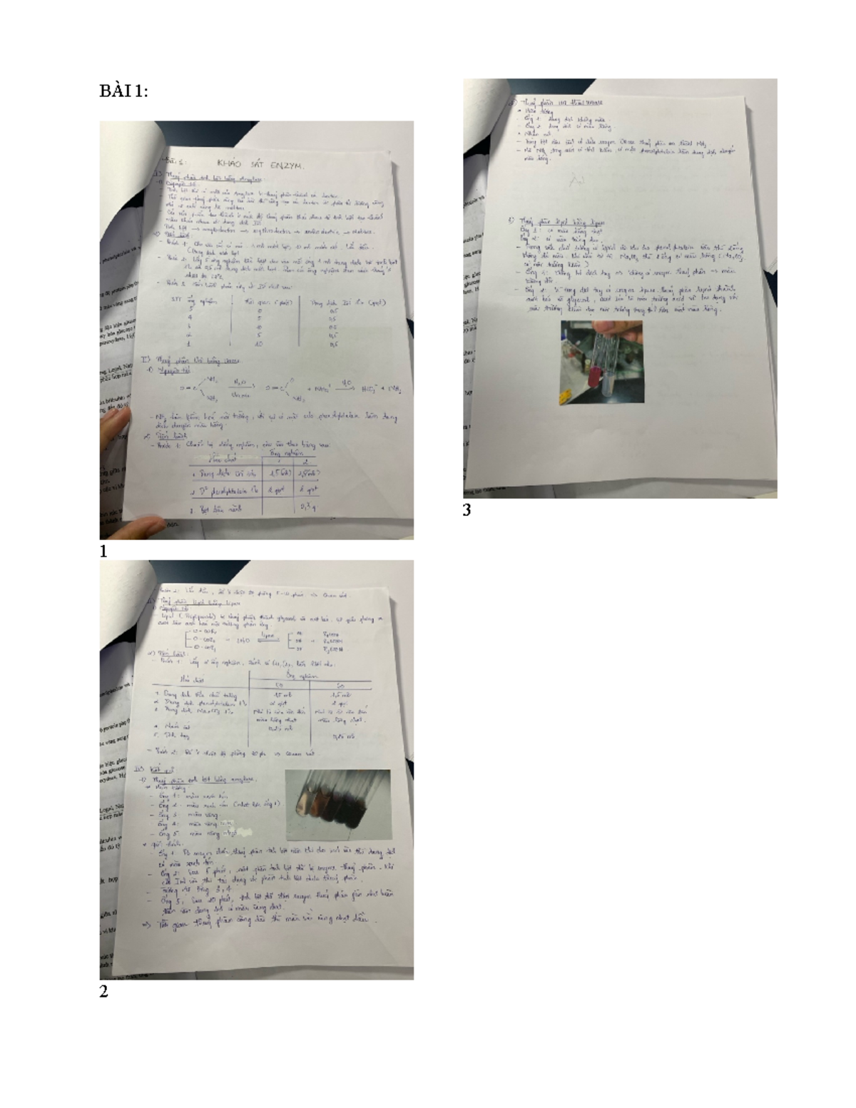 BÁO CÁO HOÁ SINH 201 - cx th - hoá sinh căn bản - BÀI - Studocu