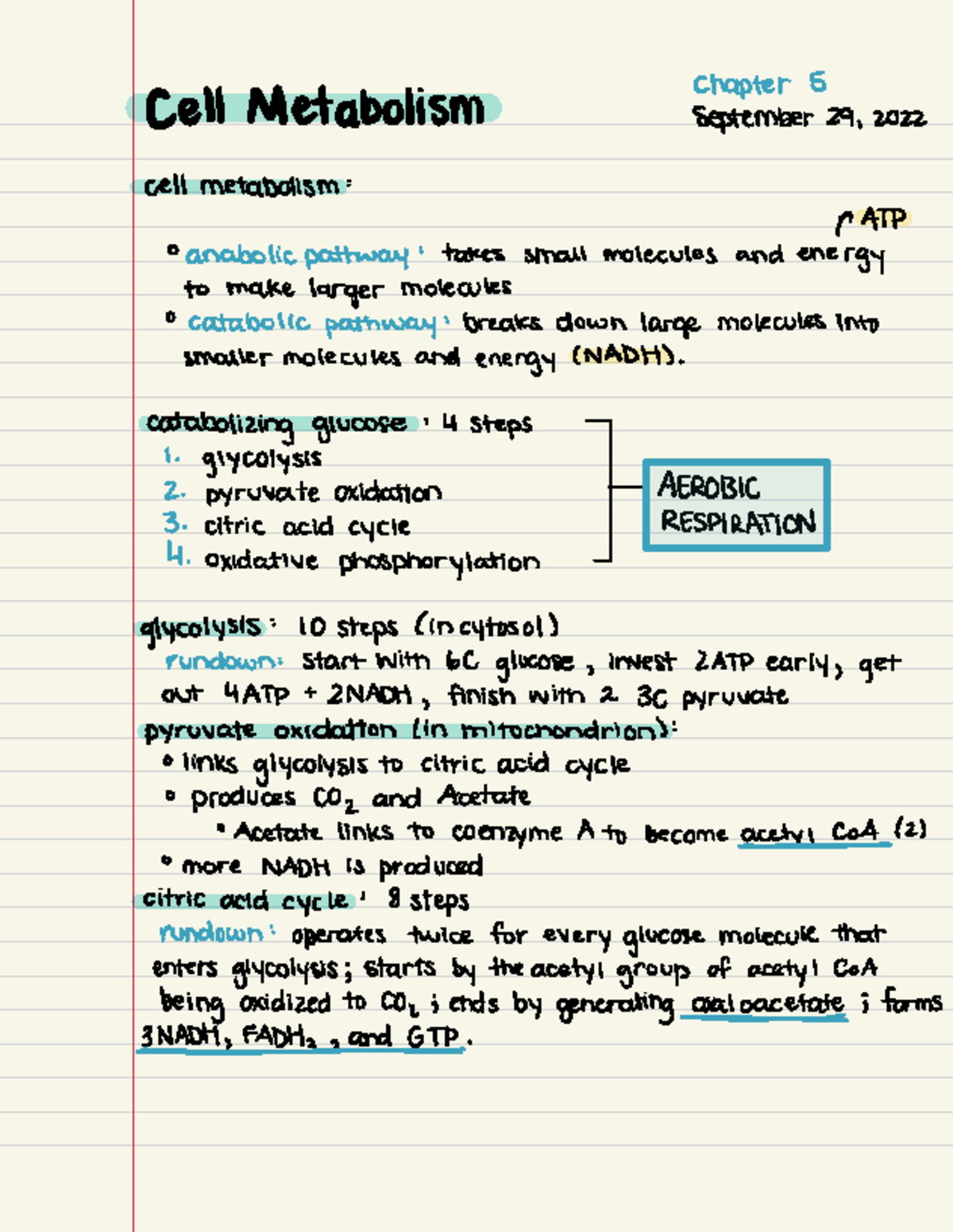 BI111: Comprehensive Overview of Chapters 5, 6, and 7 - Studocu
