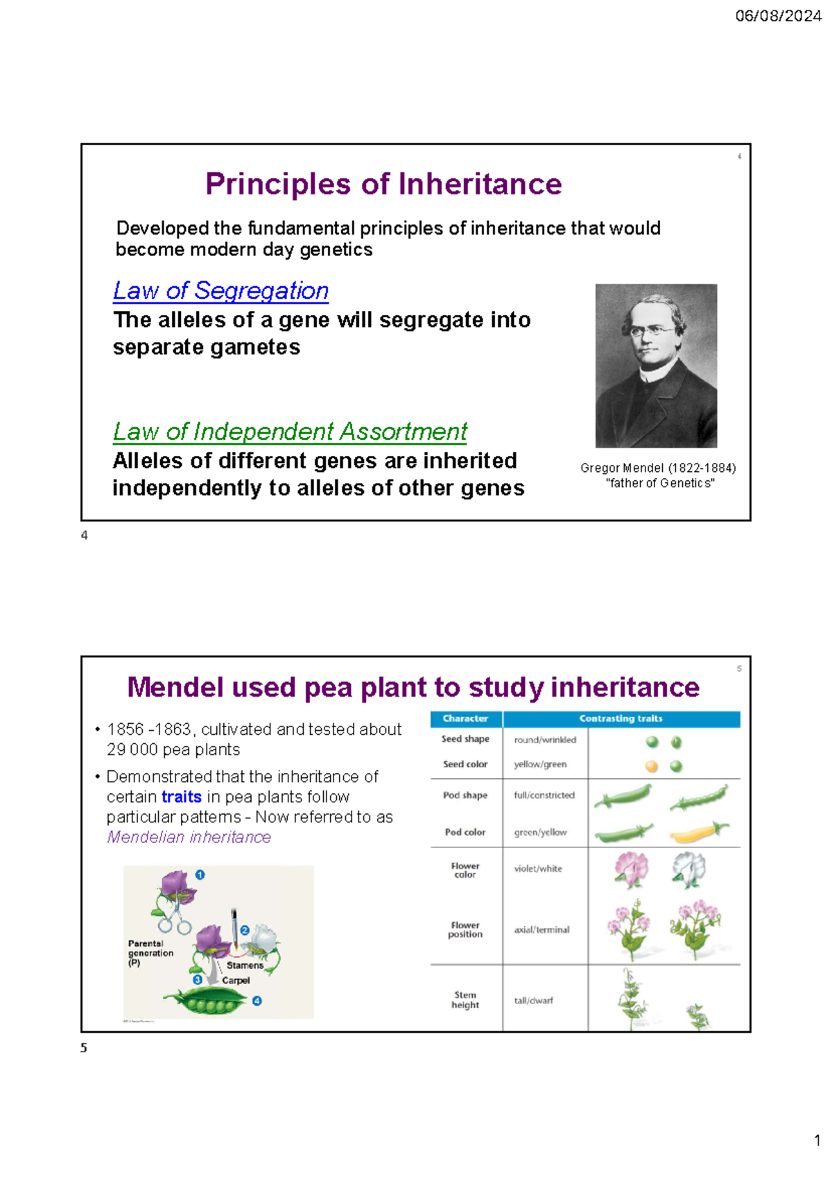 BIO212 - Lec02 - Principles of Mendelian Inheritance Explained - Studocu