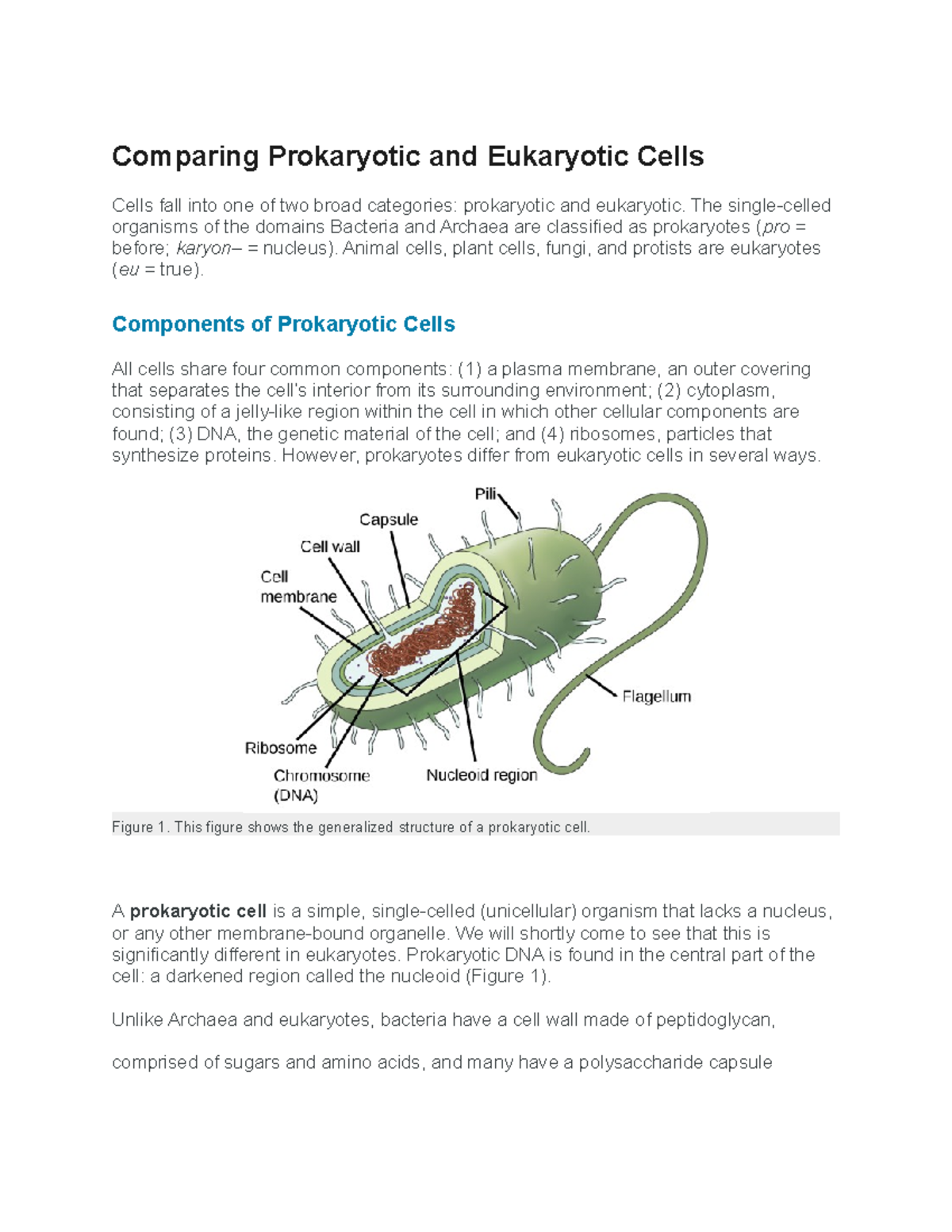 BIO101: Comparison of Prokaryotic and Eukaryotic Cells Explained - Studocu