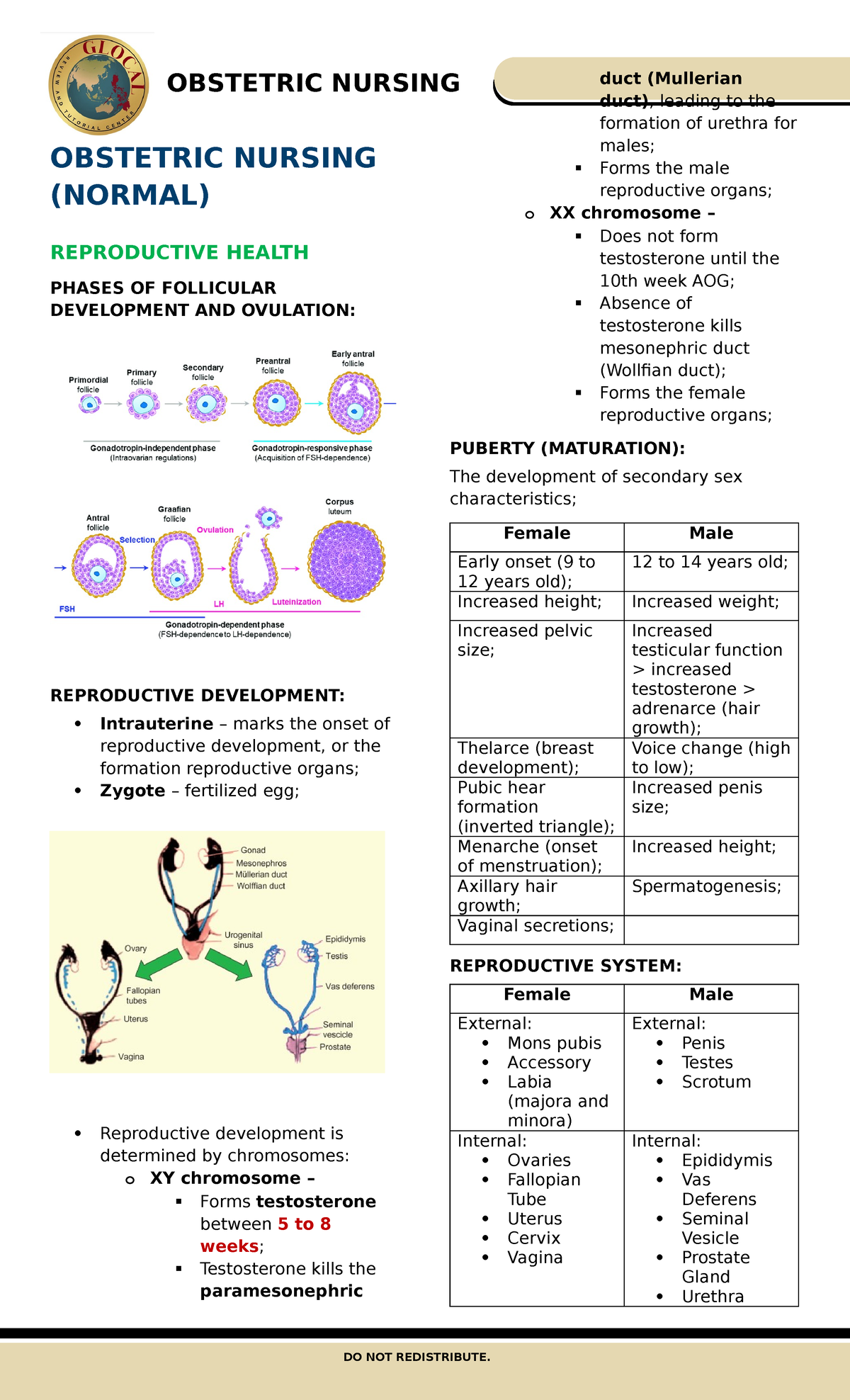 Obstetric Nursing - Sample notes. - OBSTETRIC NURSING OBSTETRIC NURSING ...