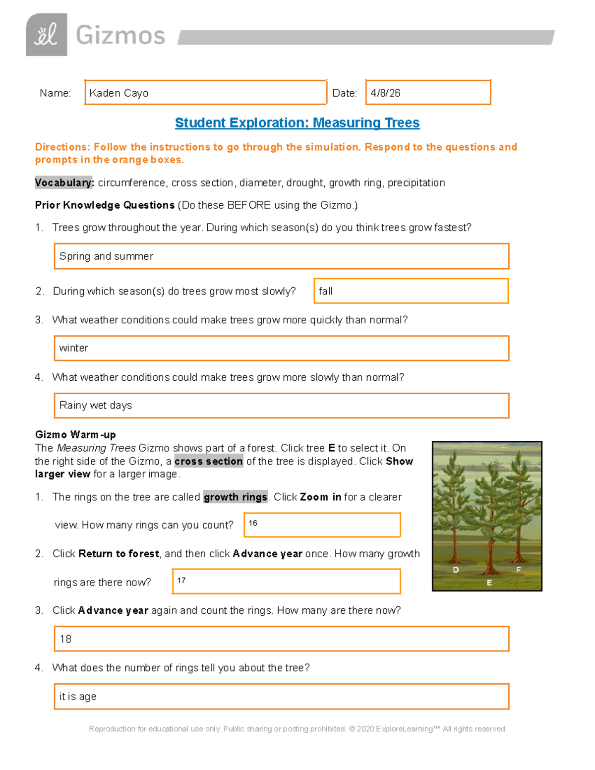 Measuring Trees SE: Student Exploration Guide and Analysis - Studocu
