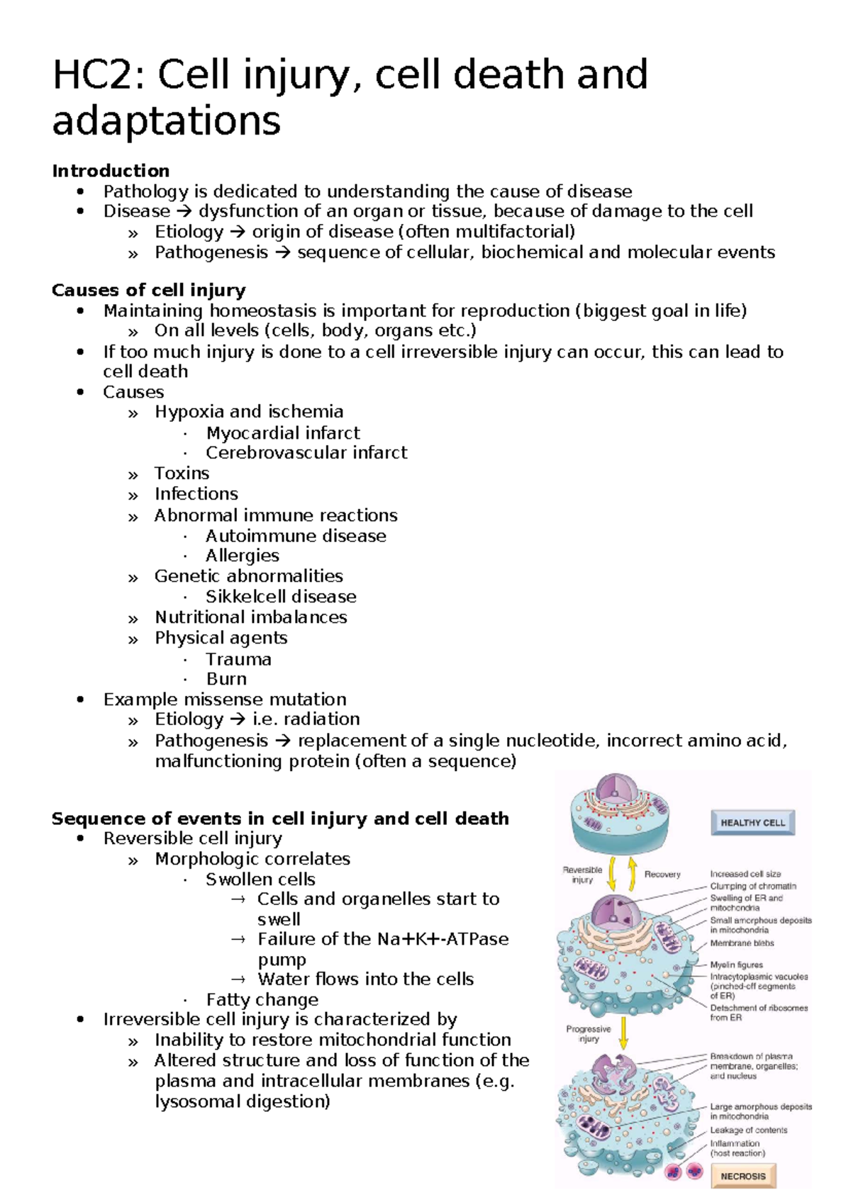 HC2: Cell Injury, Death, and Adaptations Overview - Studeersnel