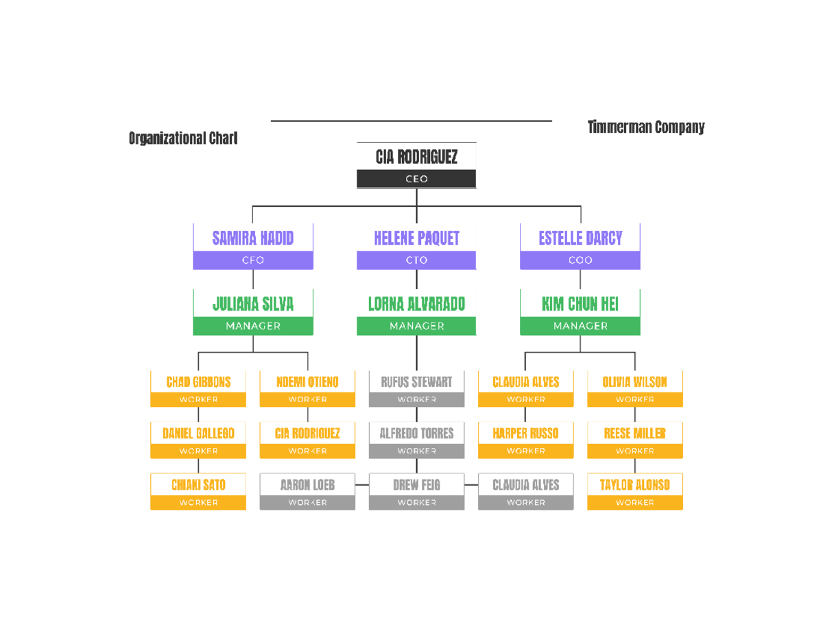 Sample ORG Chart - Financial Accounting and Reporting - Timmerman ...
