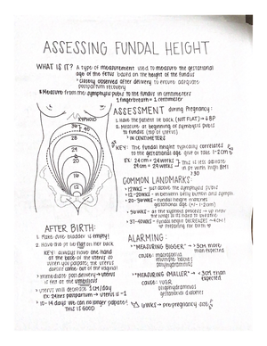 2025 SARAH MICHELLE LIVE REVIEW Study Guide for Nurse Practitioners ...