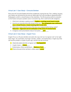 Chapter 024 Answer Keys - 24 Surgical Supplies and Instruments ANSWER ...